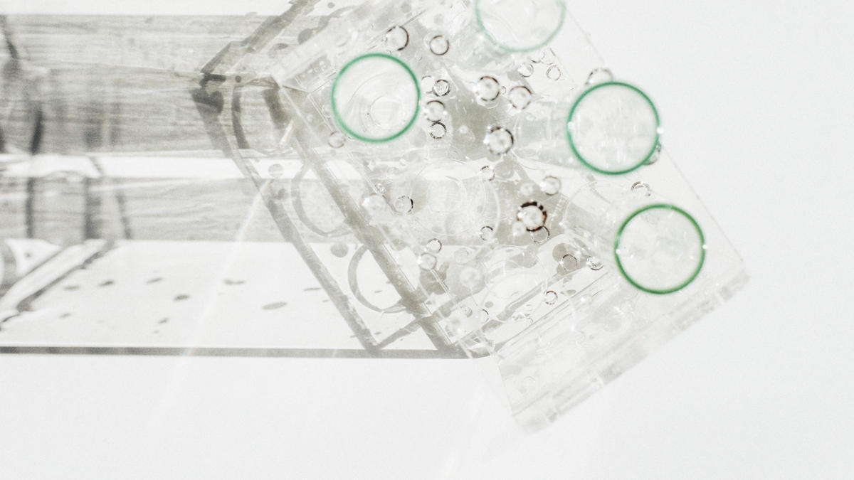 Our Brands | GrayMatter